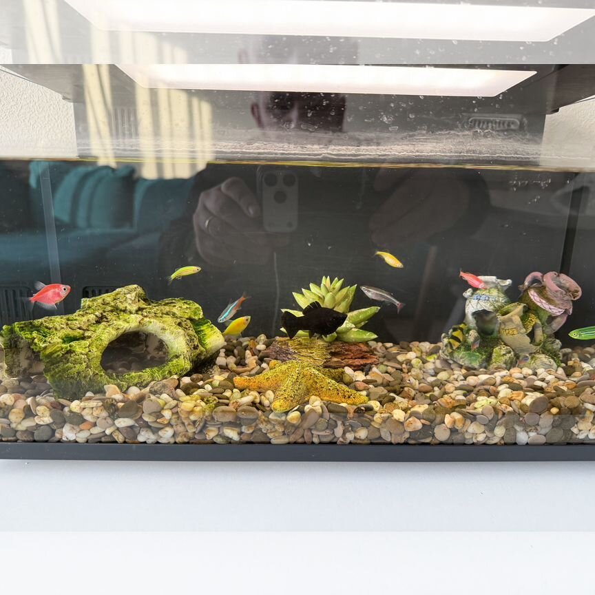 Умный аквариум xiaomi 20 литров