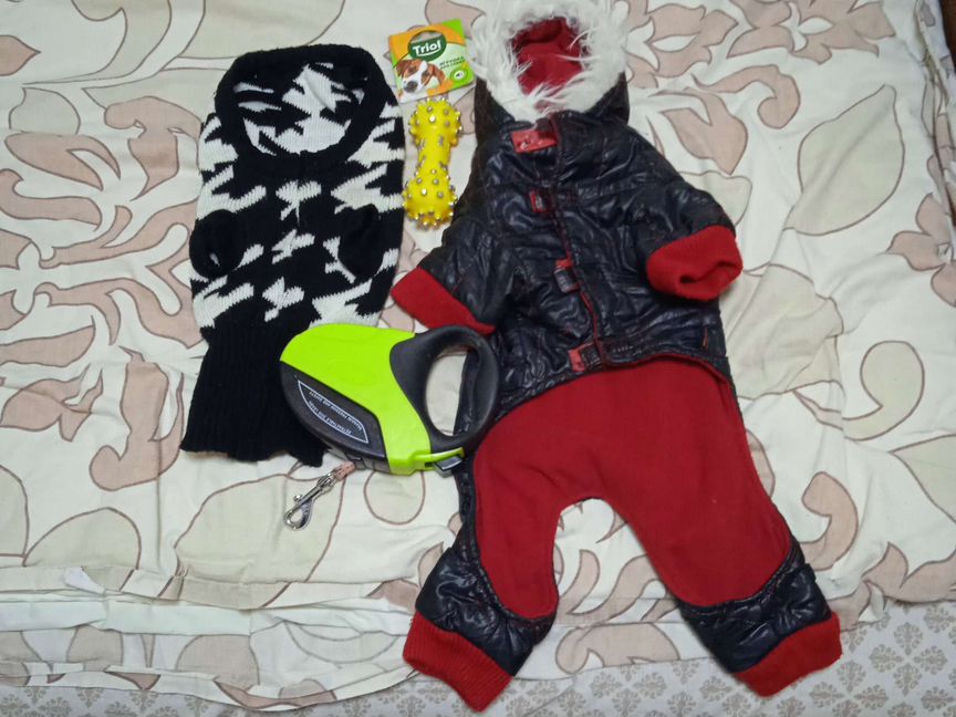 Продам, костюм для собаки