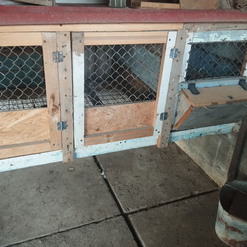 Клетки для кролей