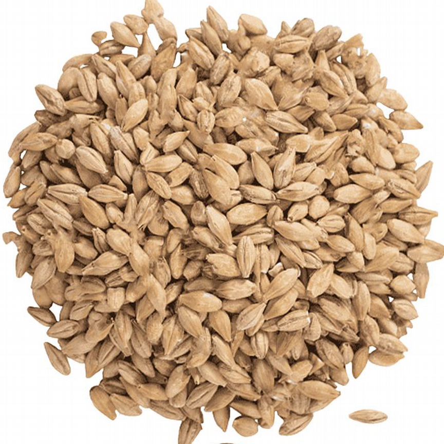 Ячмень кормовой (в мешках по 30 кг)