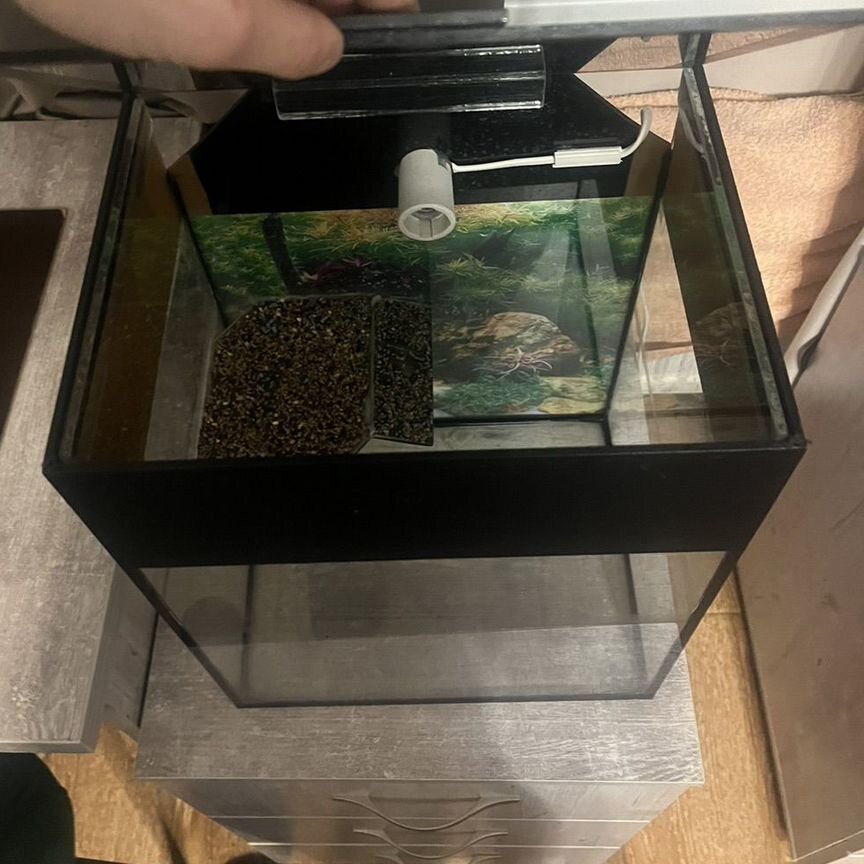 Террариум для черепахи