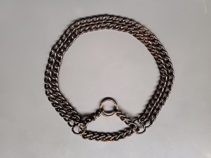 Ошейник удавка для собак