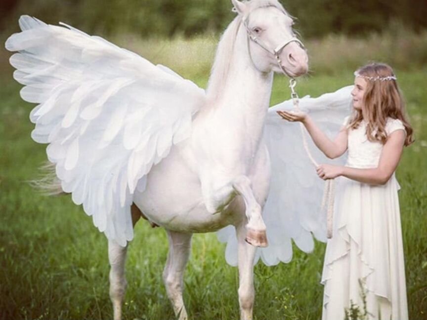 Крылья на лошадь модель "Пегас"
