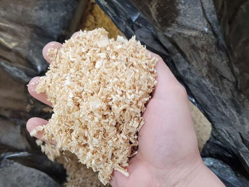 Стружка березовая сухая