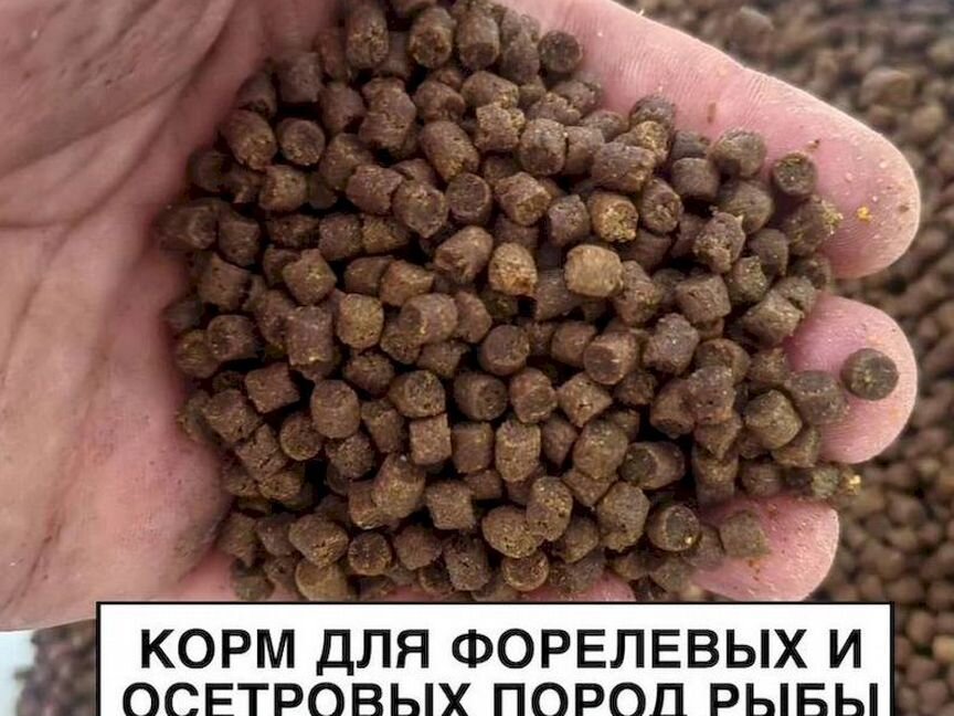Корм для рыб