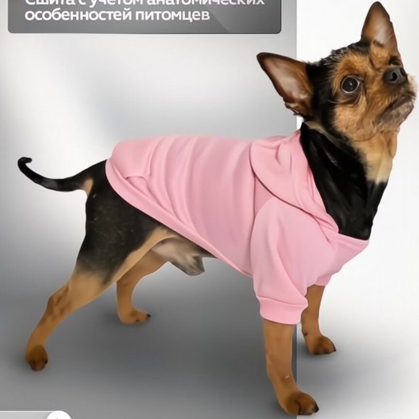Кофта для маленькой собаки