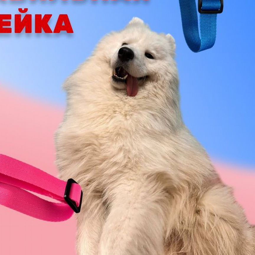 Шлейка для собаки