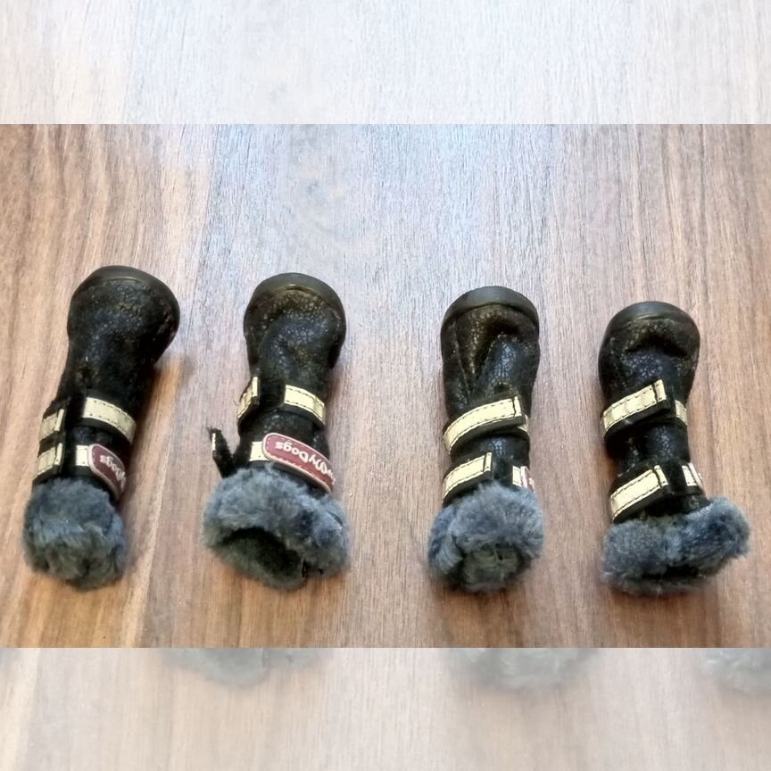 Ботинки зимние для собак