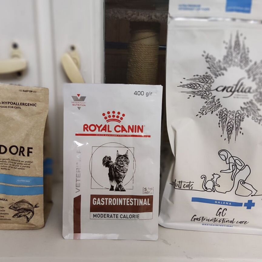 Корм для кошек бесплатно