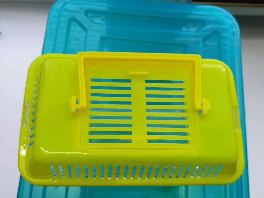 Террариум для рептилий