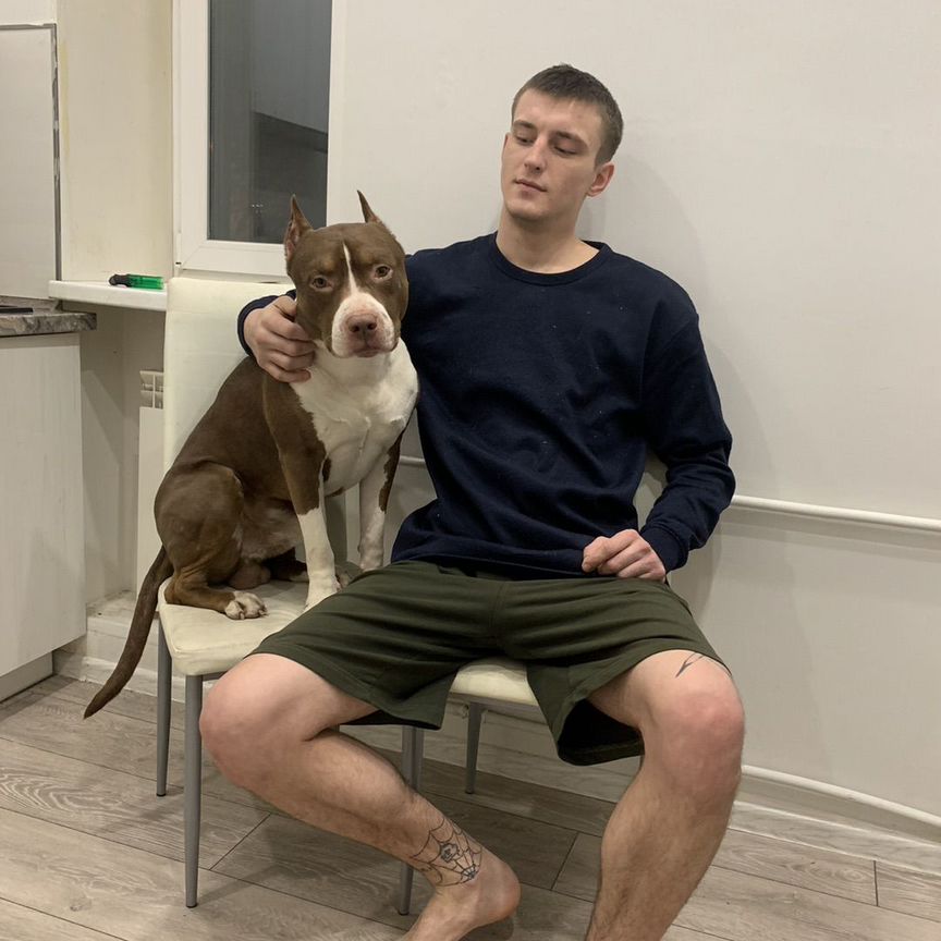 Стафорт в добрые руки