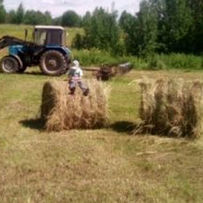 Сено