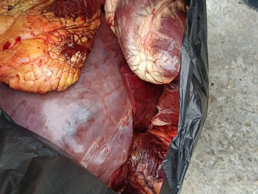 Субпродукты говяжьи