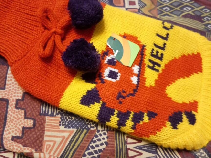 Новый свитер на щенка