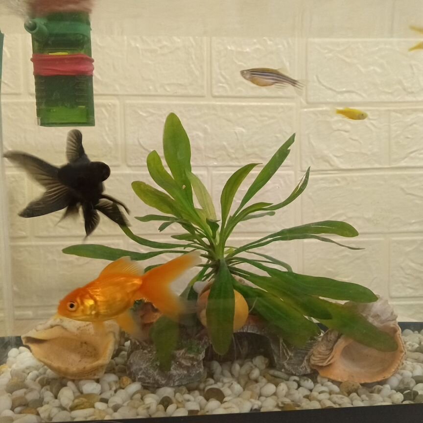 Аквариум 17 литров