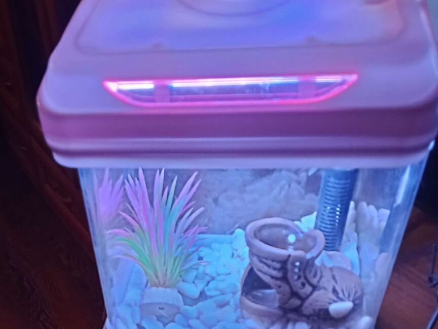 Аквариум мини с подсветкой,камушками,домиком,сачок