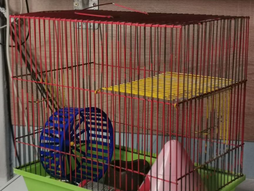 Клетка для грызунов