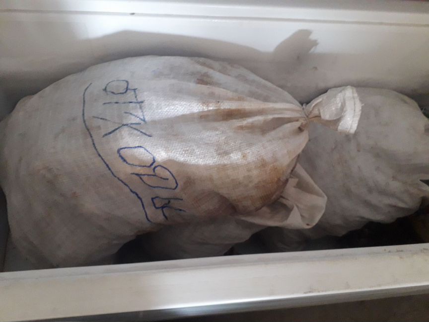 Отходы для собак