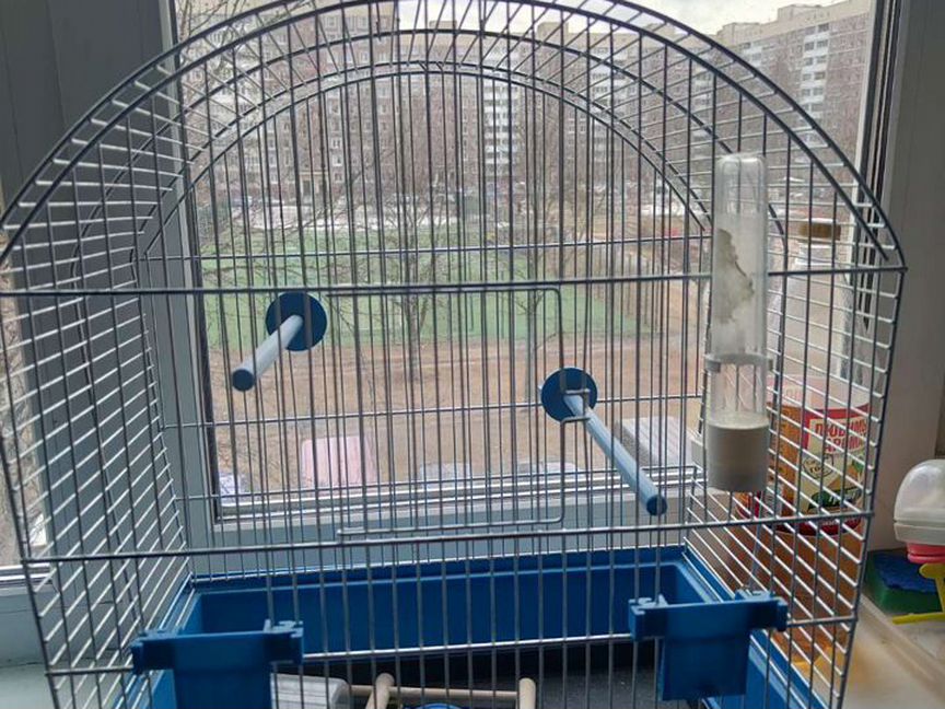 Клетка inter zoo