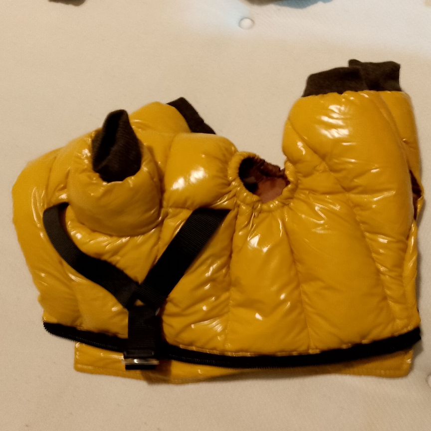 Куртка для щенков мелких пород