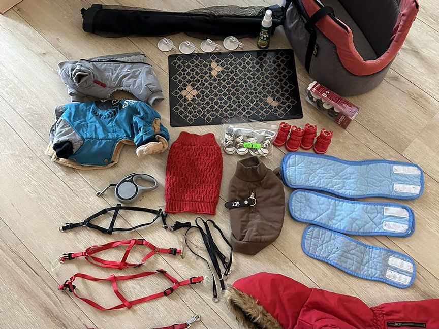 Переноска и одежда для шпица