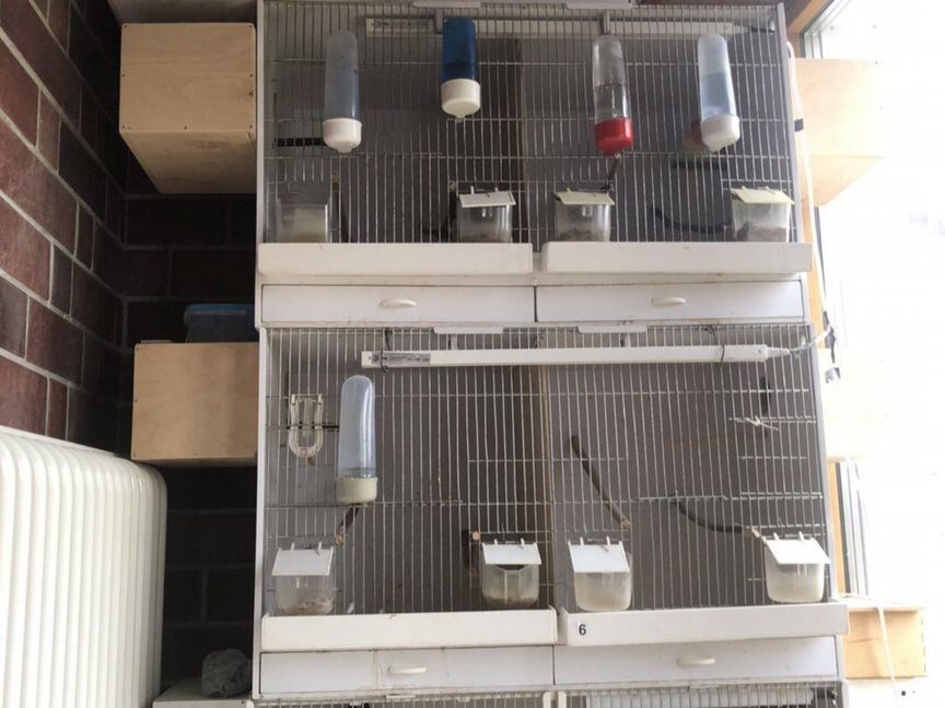 Клетки боксы для птиц размер 40-50-80 см