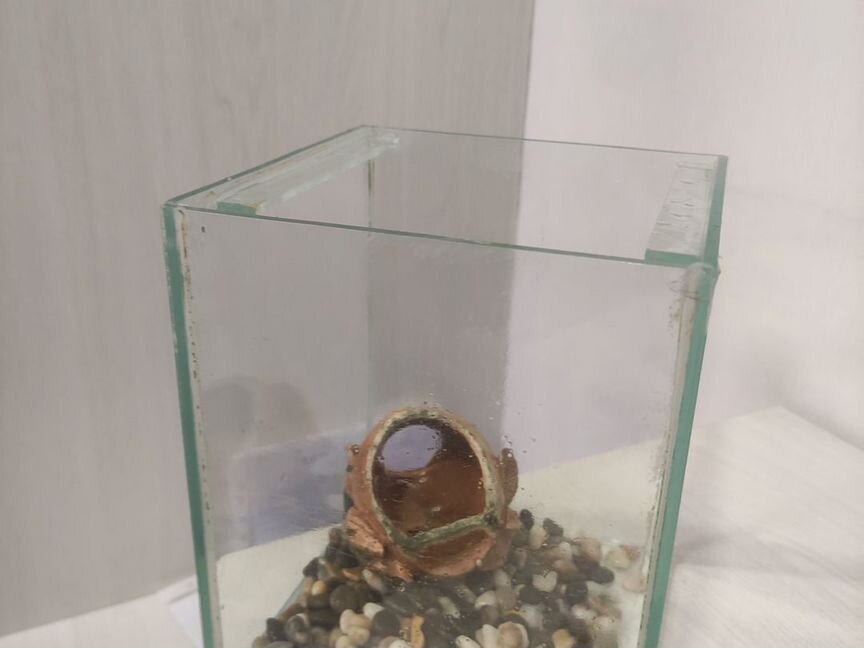 Аквариум 5 литров