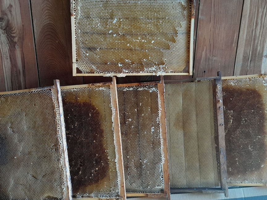 Рамки с сушью