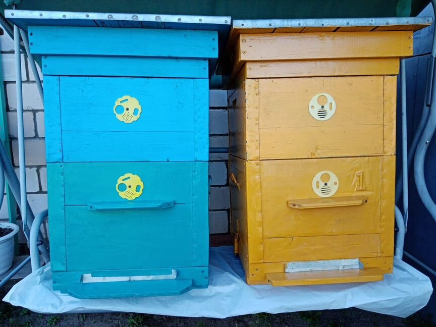 Ульи дадан 10 рамочный