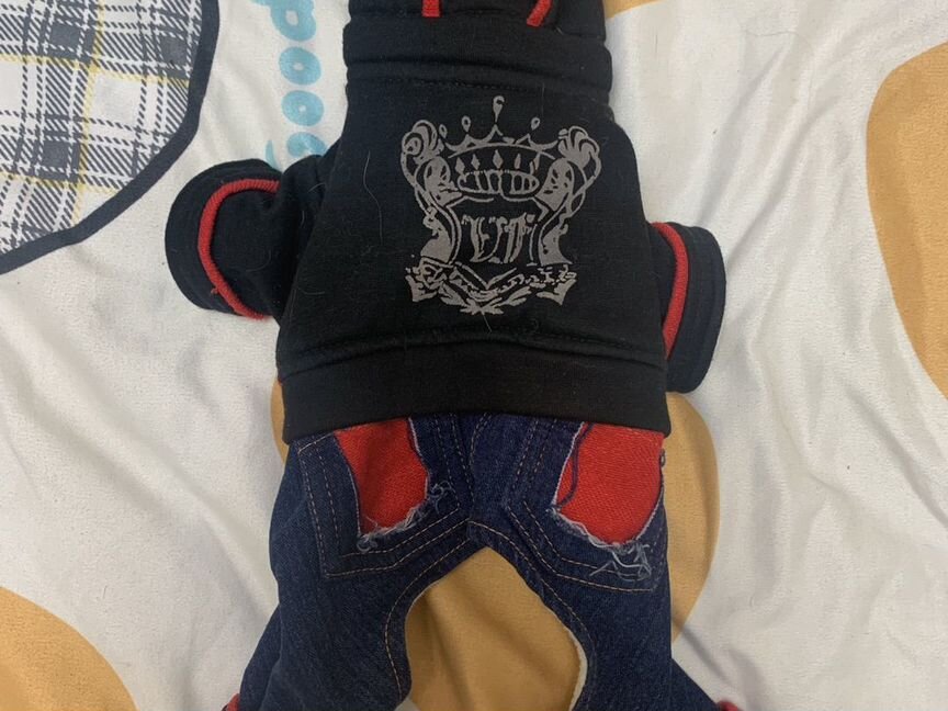 Одежда для маленьких собак