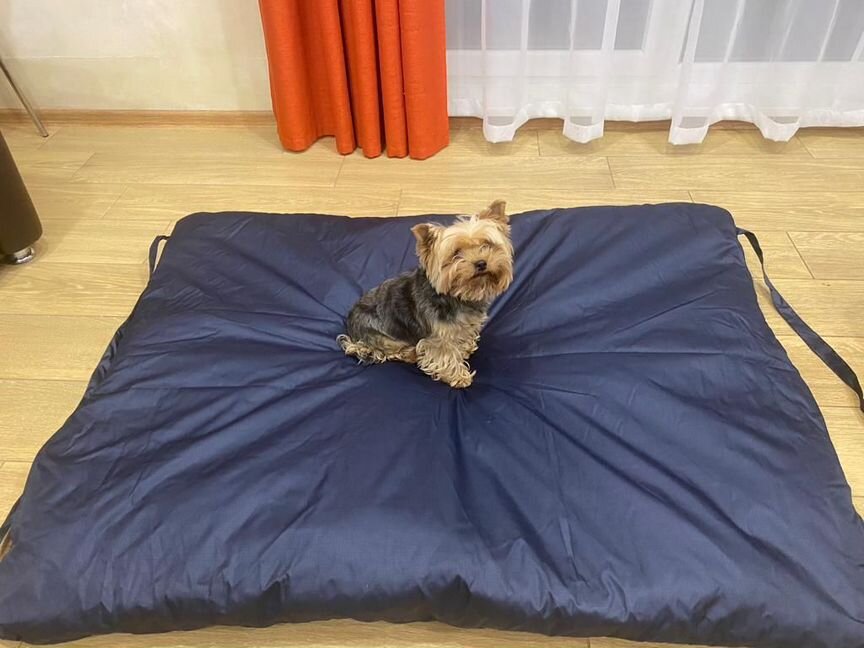 Лежанка для гигантских пород Zooexpress Аквастоп