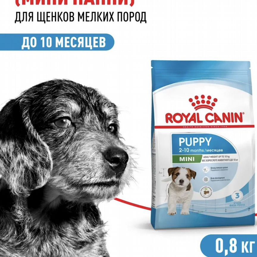 Корм для собак royal canin