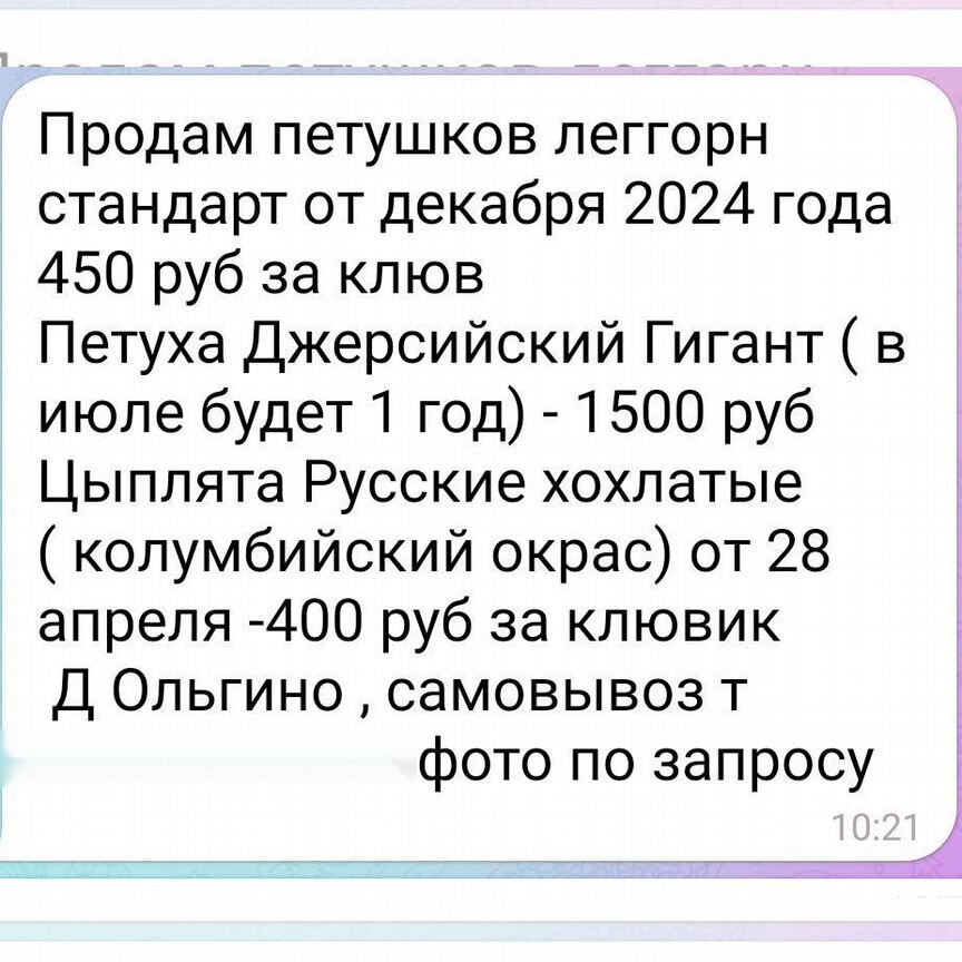 Петушки,цыплята