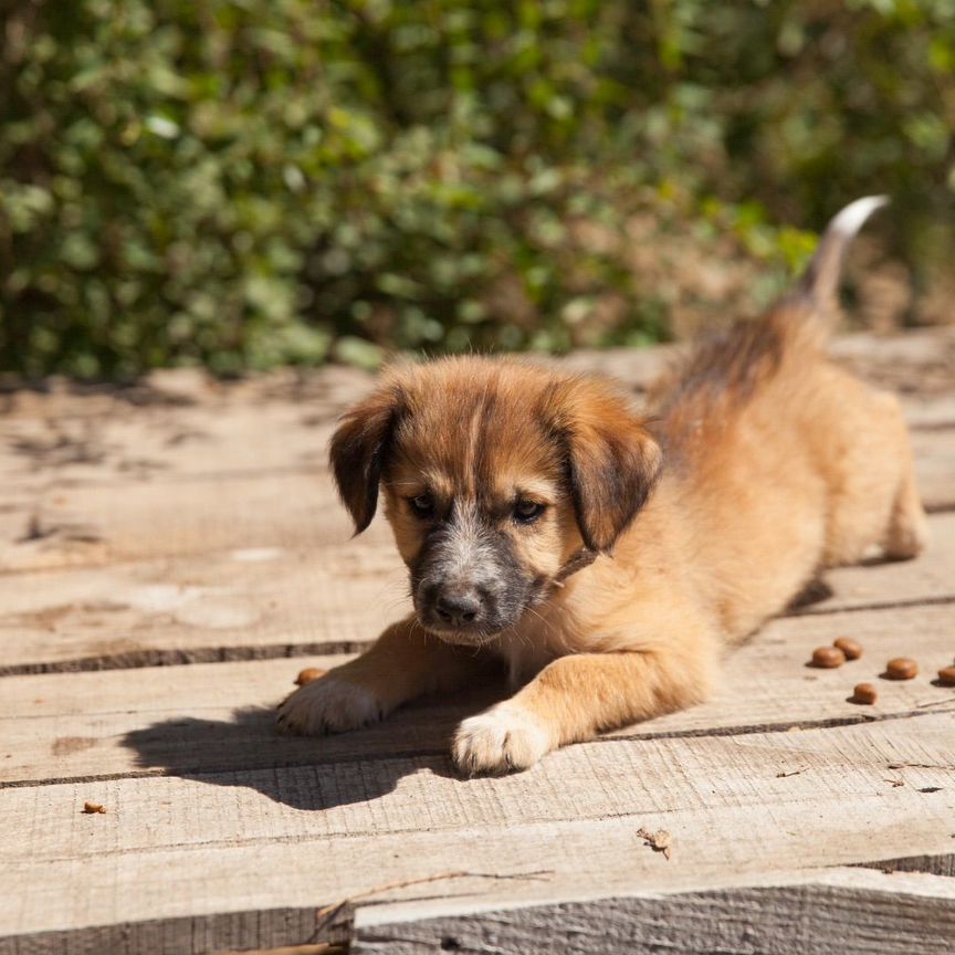 Малышка Альма в дар