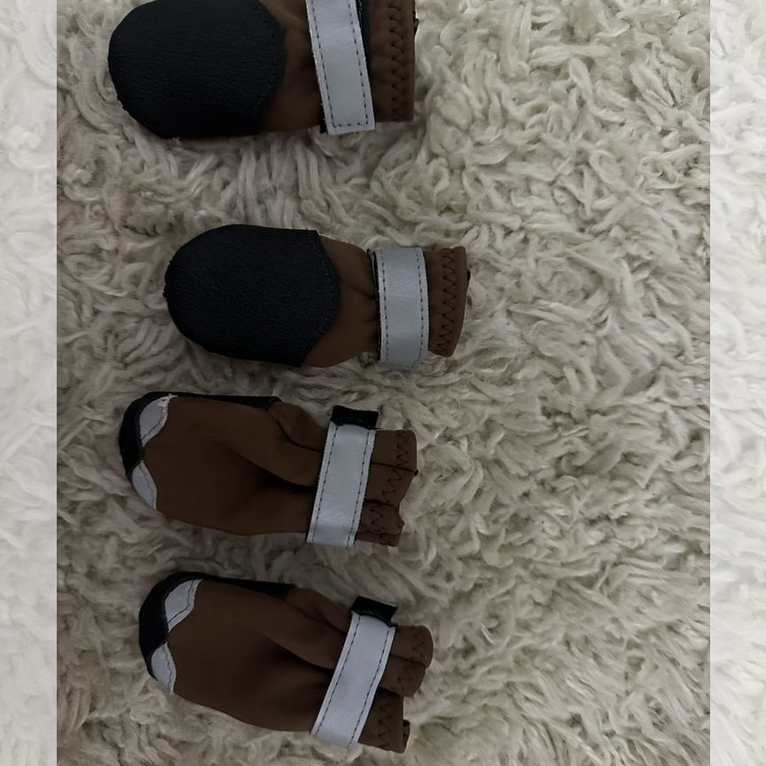 Ботинки для собак средних пород