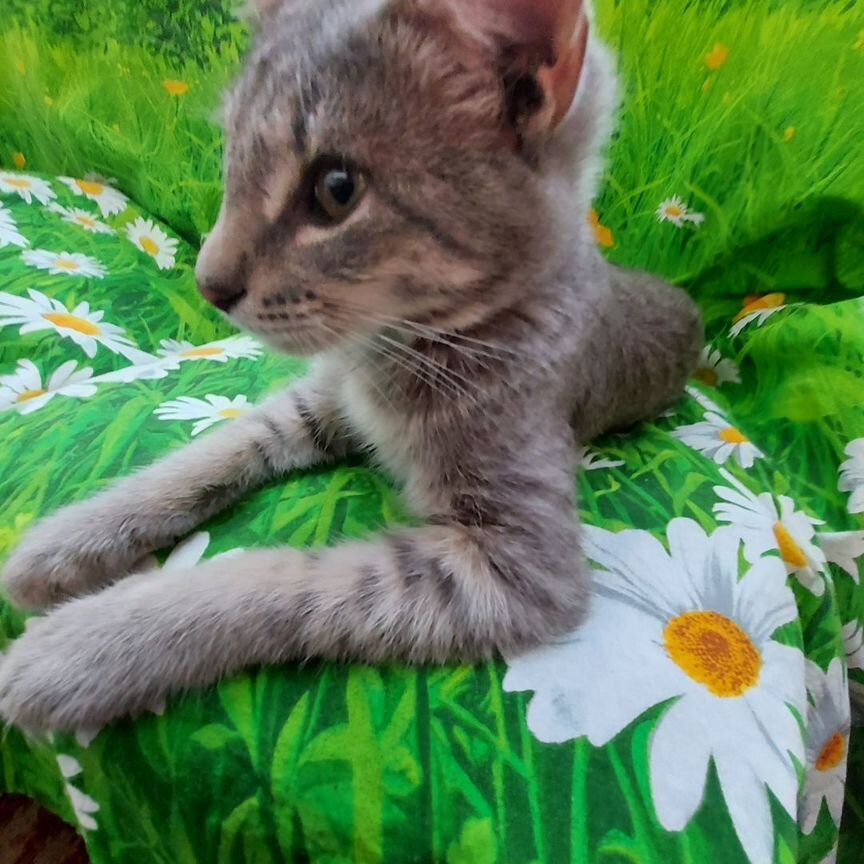 Няшный пацан, 5 мес