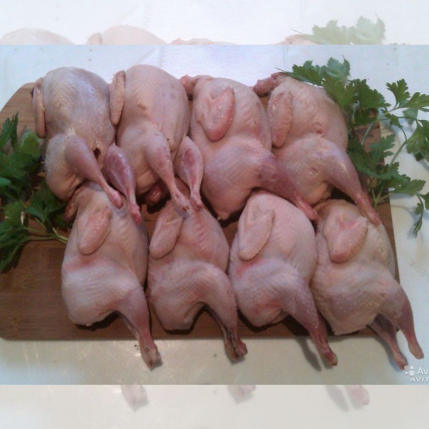 Корм для собак - Перепела-шейки, лапки