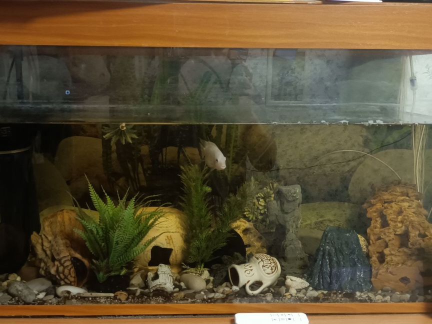 Аквариум 120 литров