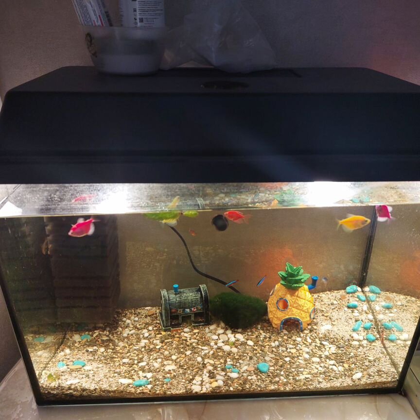 Аквариум 50л