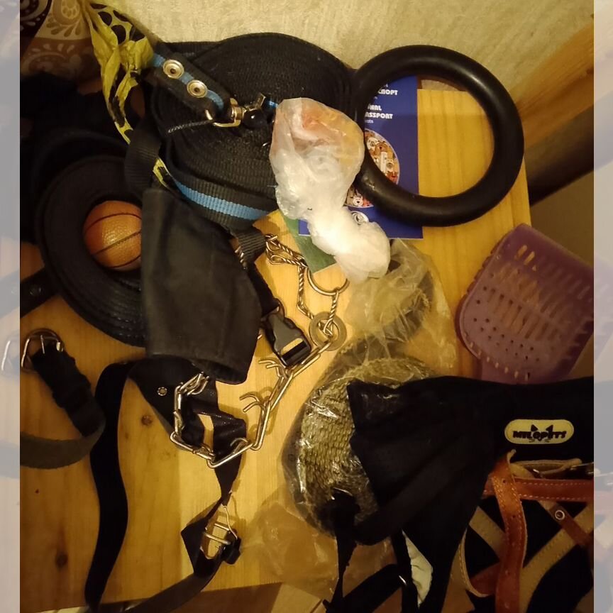 Собачьи принадлежности пакет