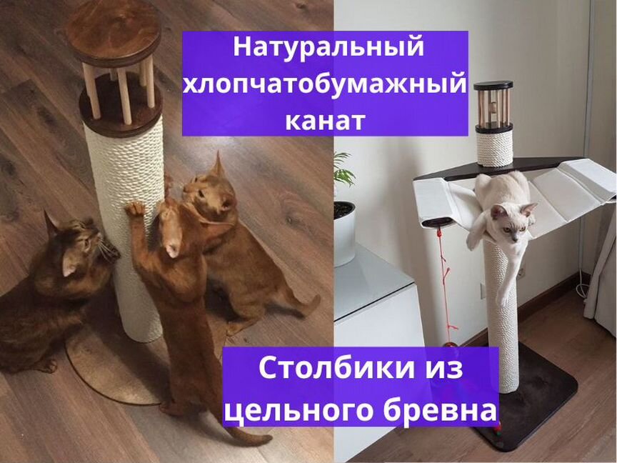 Когтеточка с домиком