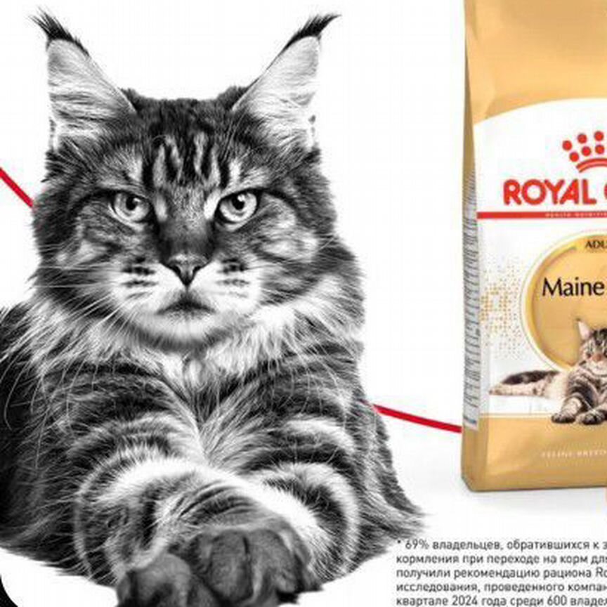 Корм для кошек royal canin мейн-кун