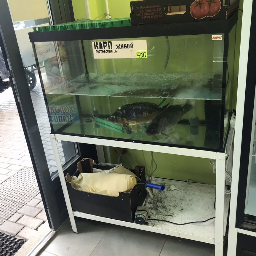 Аквариум для рыб