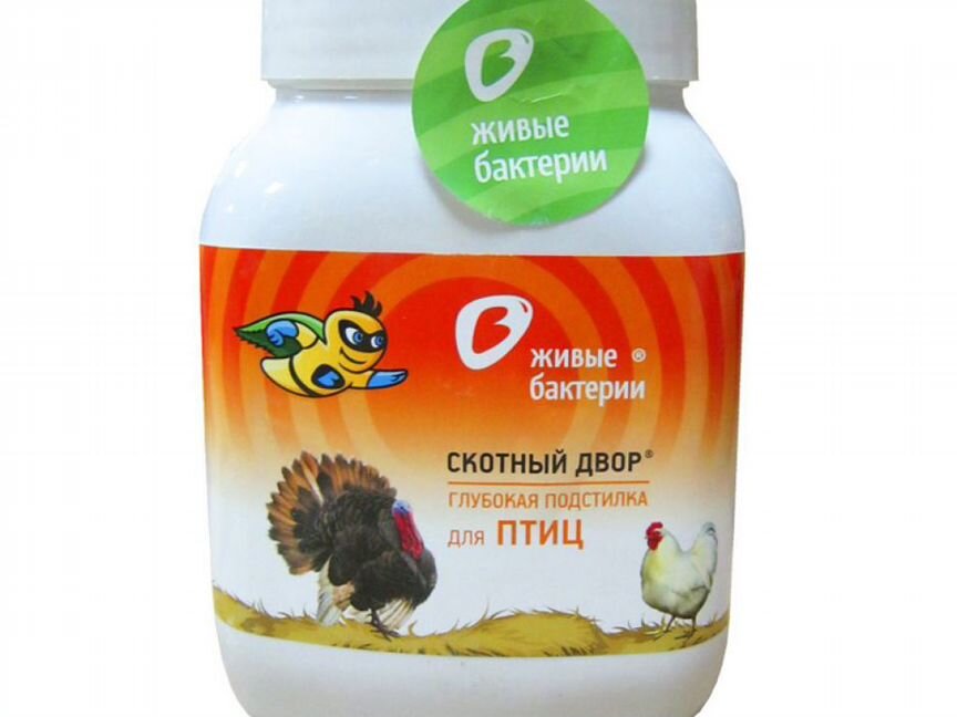 Живые бактерии