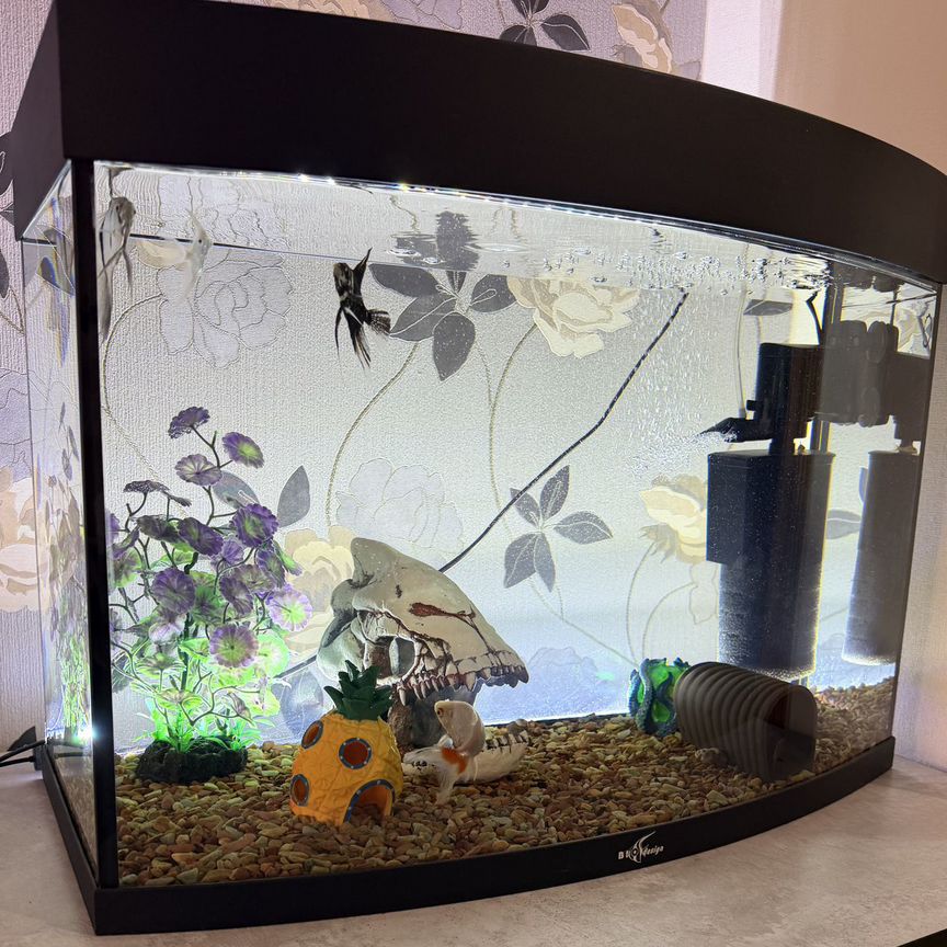 Продам аквариум 100 литров с рыбками