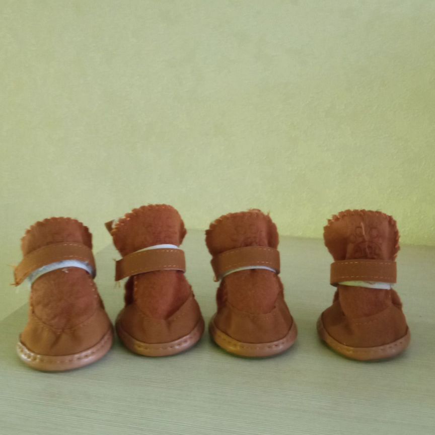 Для маленькой собачки Угги