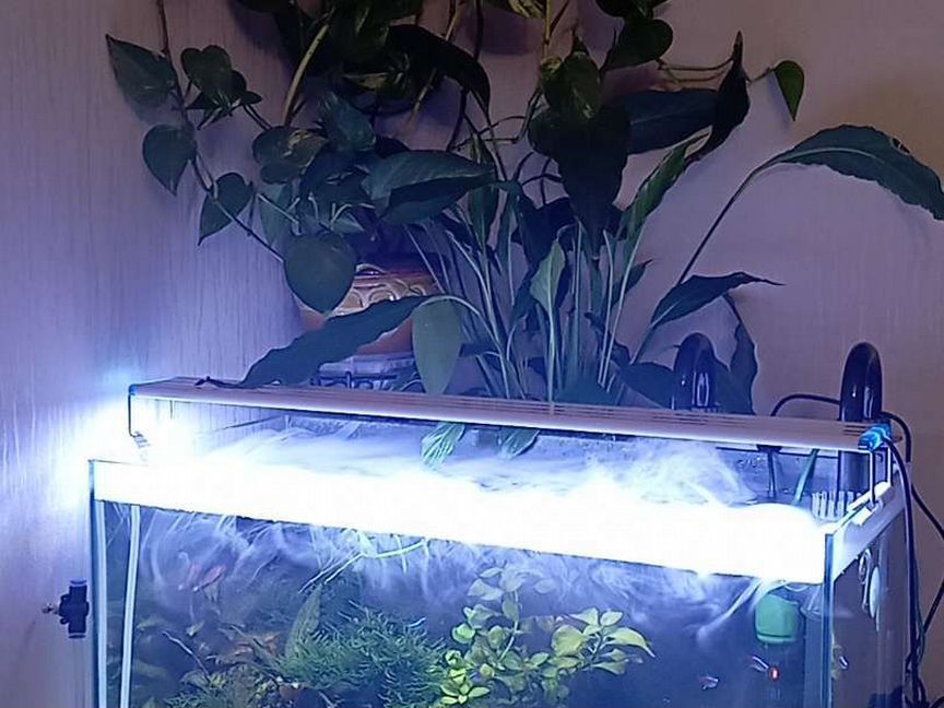 Аквариумные рыбки+фильтр