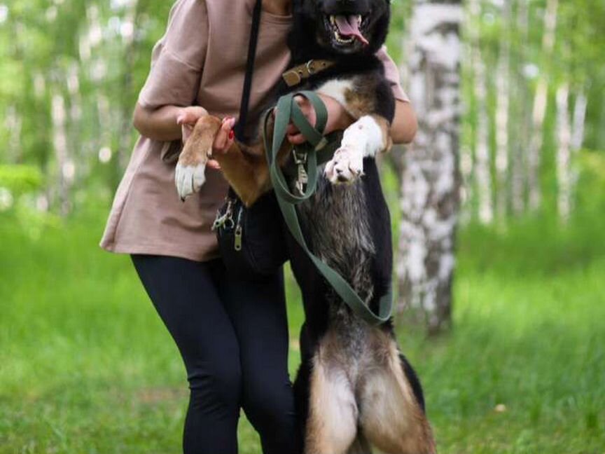 Гера ищет маму