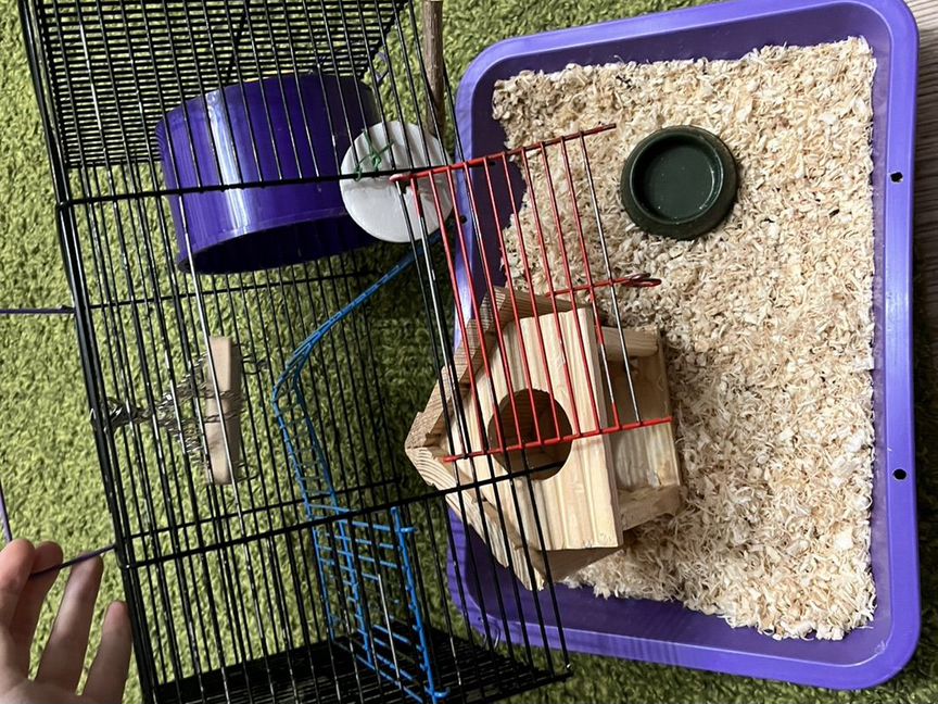 Клетка, корм и всё необходимое для хомяка