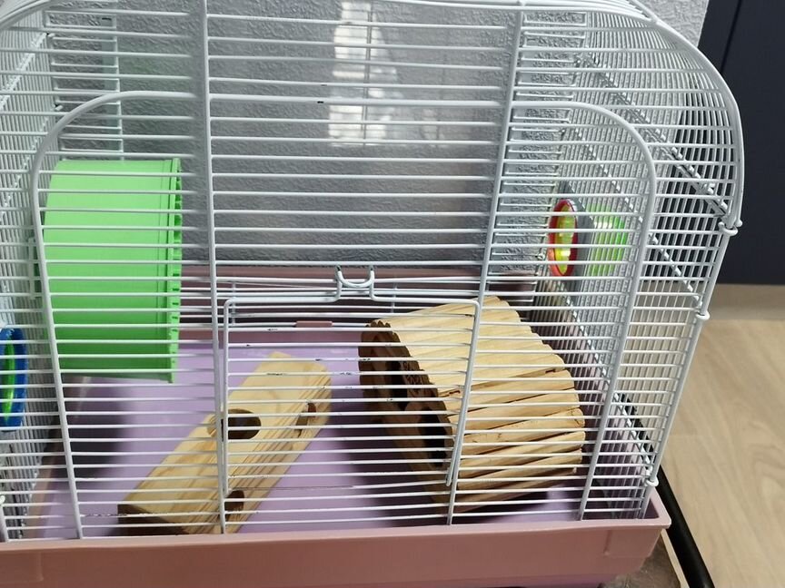 Продаю клетку для грызунов (возможно птиц) 38,5х37